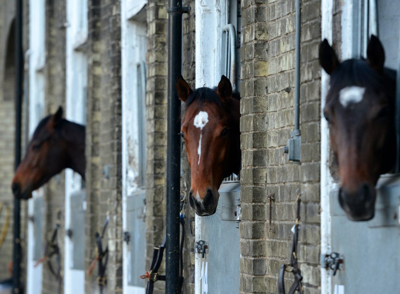 Facilities | Harry Eustace Racing