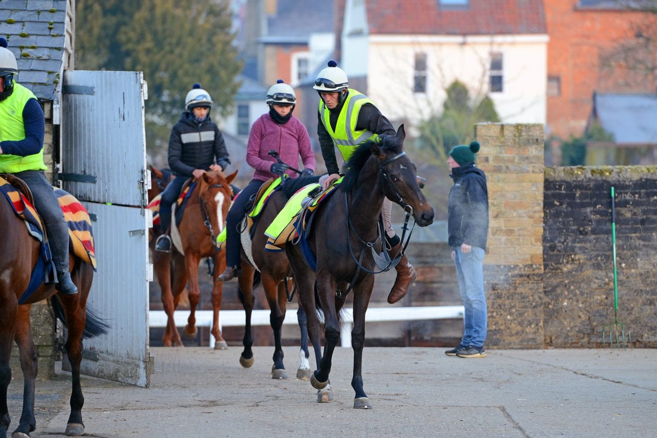 Gallery | Harry Eustace Racing