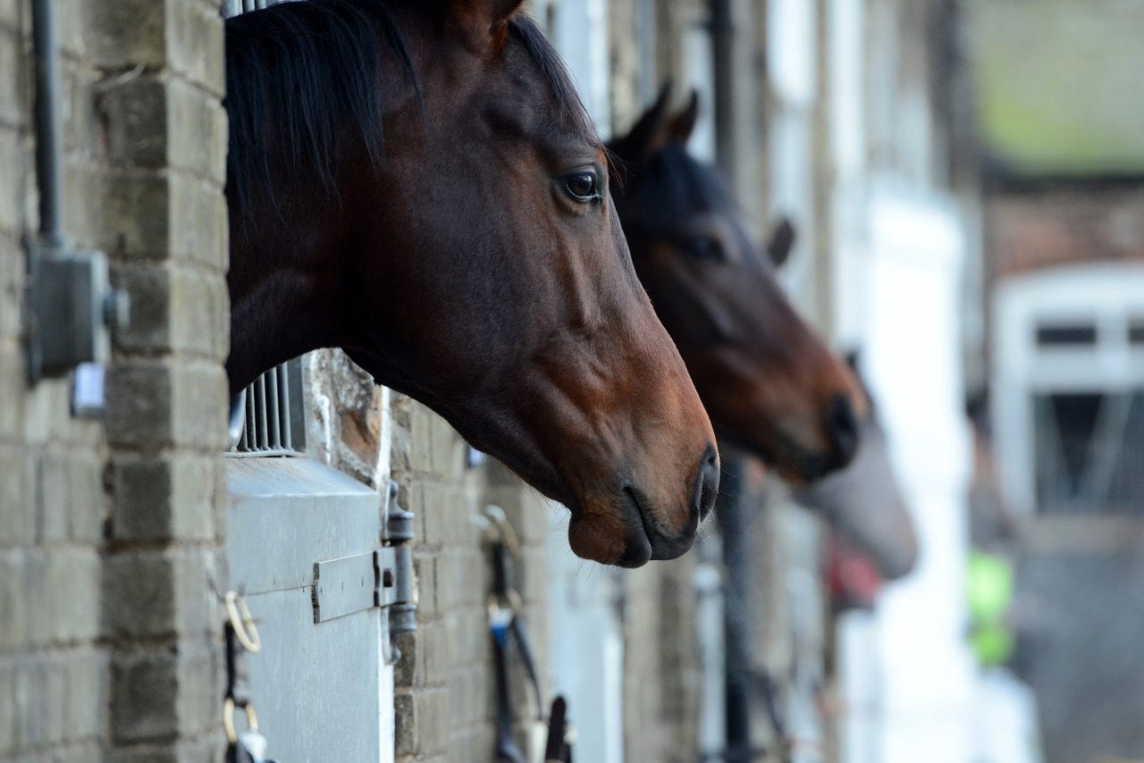 Gallery | Harry Eustace Racing