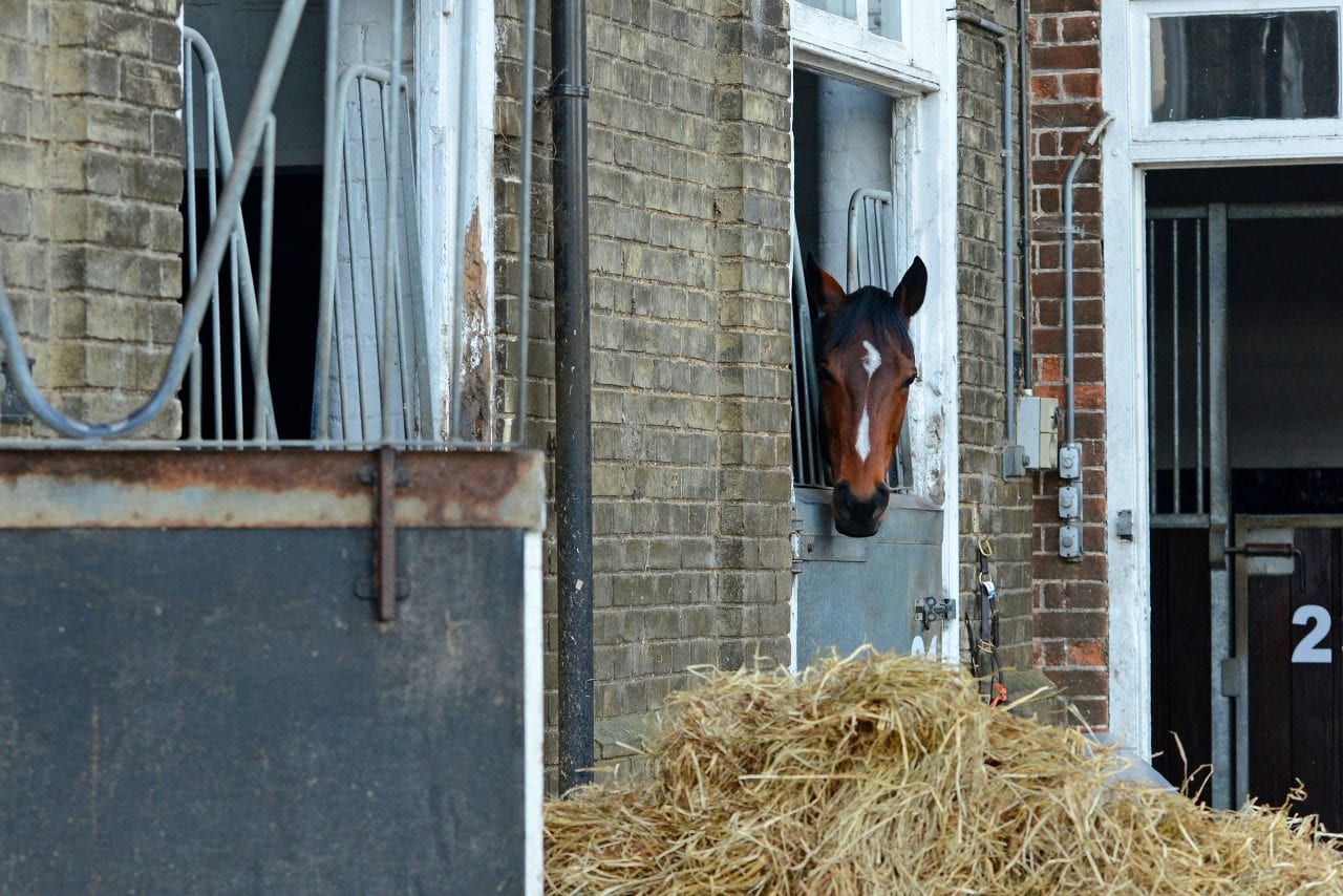 Gallery | Harry Eustace Racing