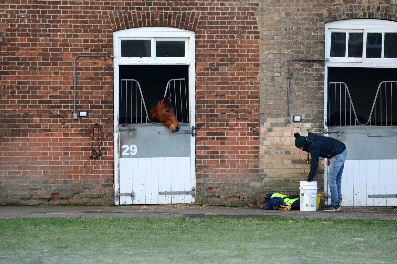 Gallery | Harry Eustace Racing