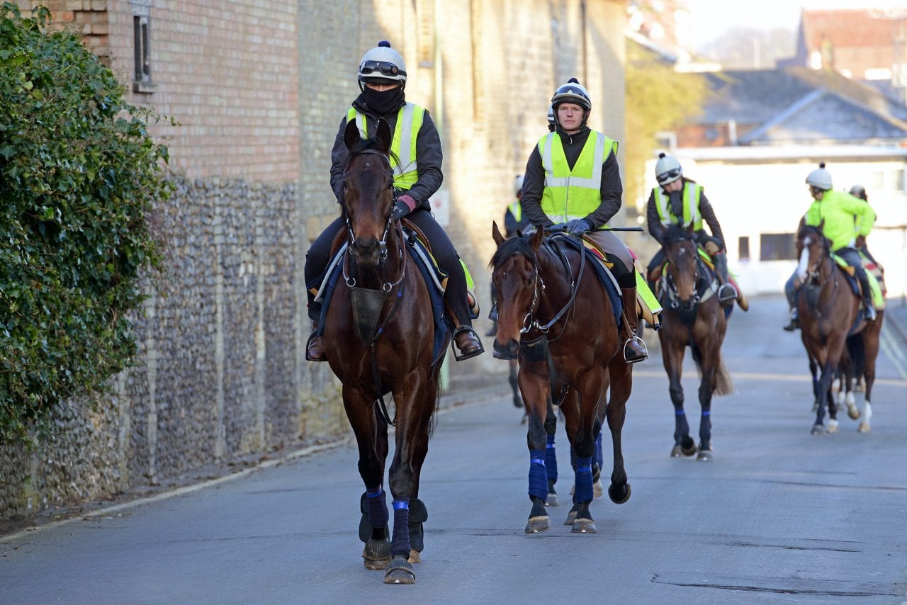 Gallery | Harry Eustace Racing