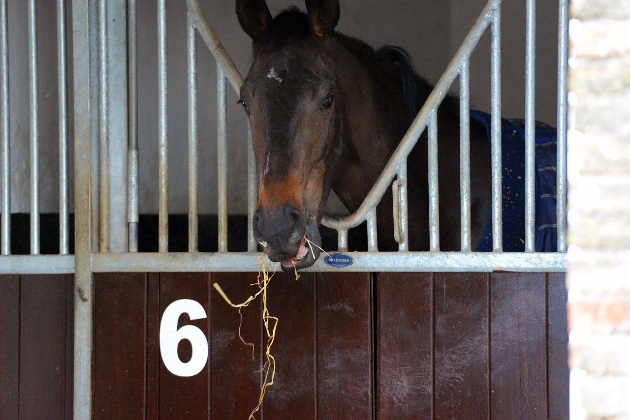 Gallery | Harry Eustace Racing