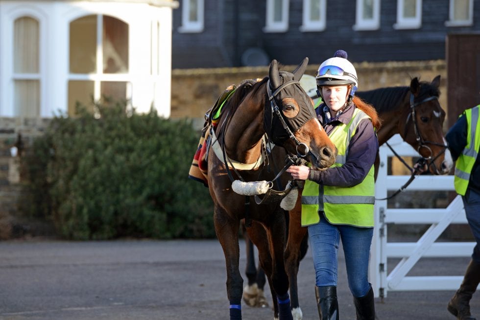 Gallery | Harry Eustace Racing