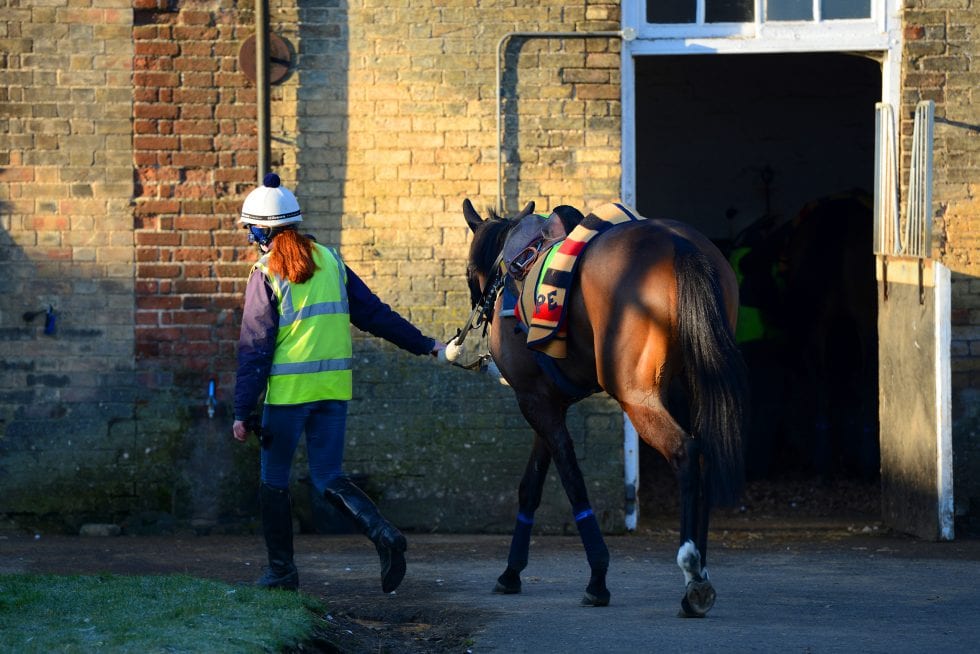 Gallery | Harry Eustace Racing