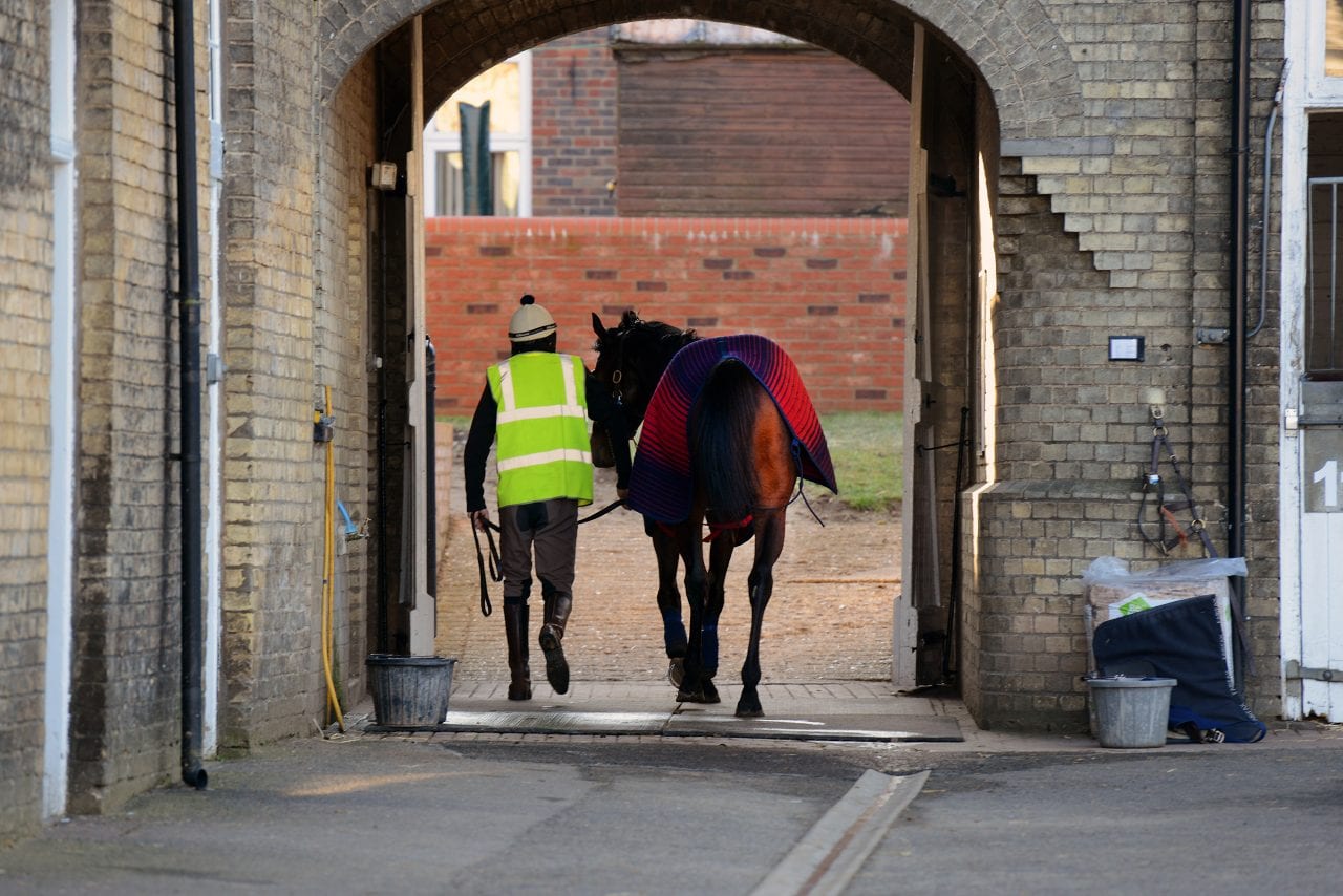 Gallery | Harry Eustace Racing