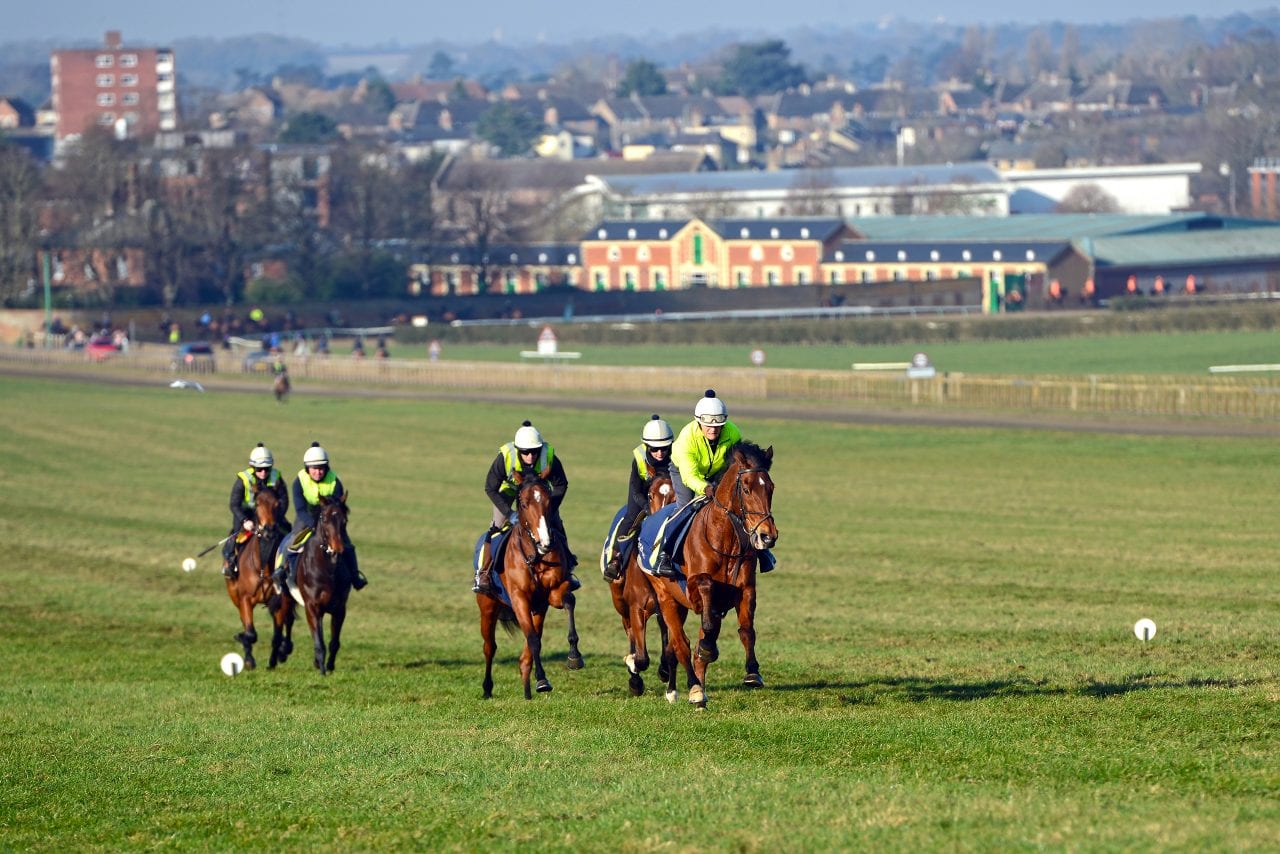 Gallery | Harry Eustace Racing