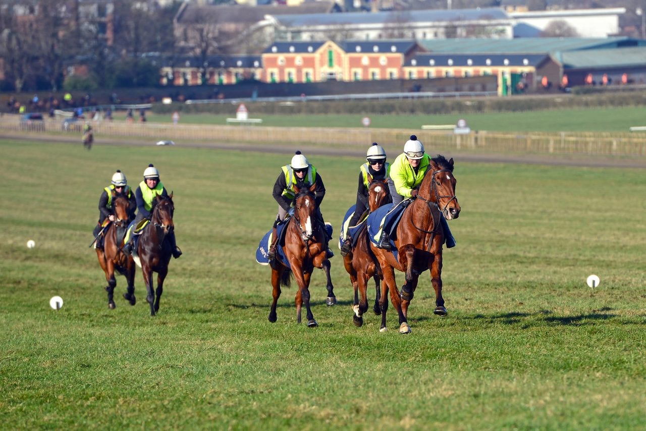 Gallery | Harry Eustace Racing