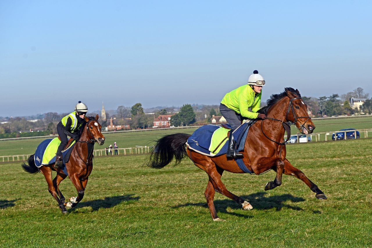 Gallery | Harry Eustace Racing