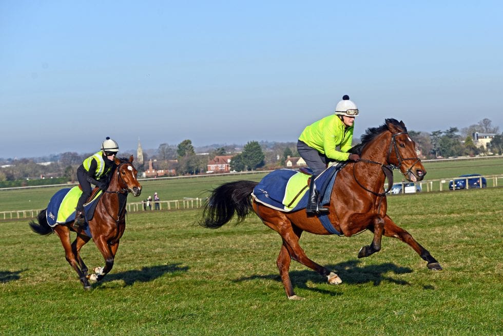 Gallery | Harry Eustace Racing