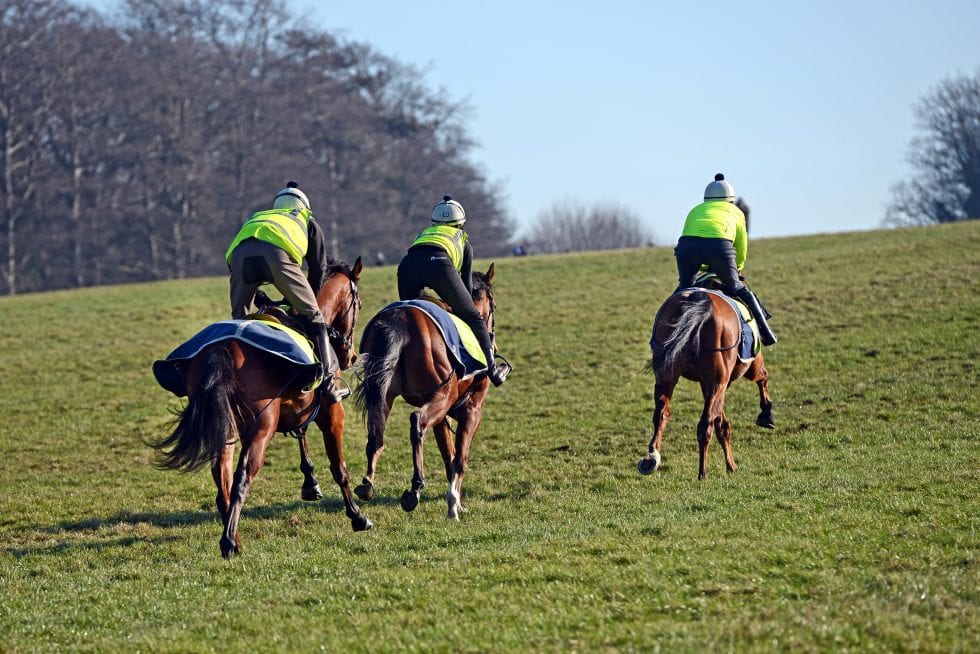 Gallery | Harry Eustace Racing