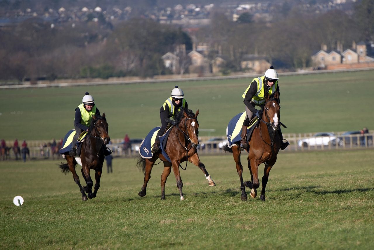 Gallery | Harry Eustace Racing