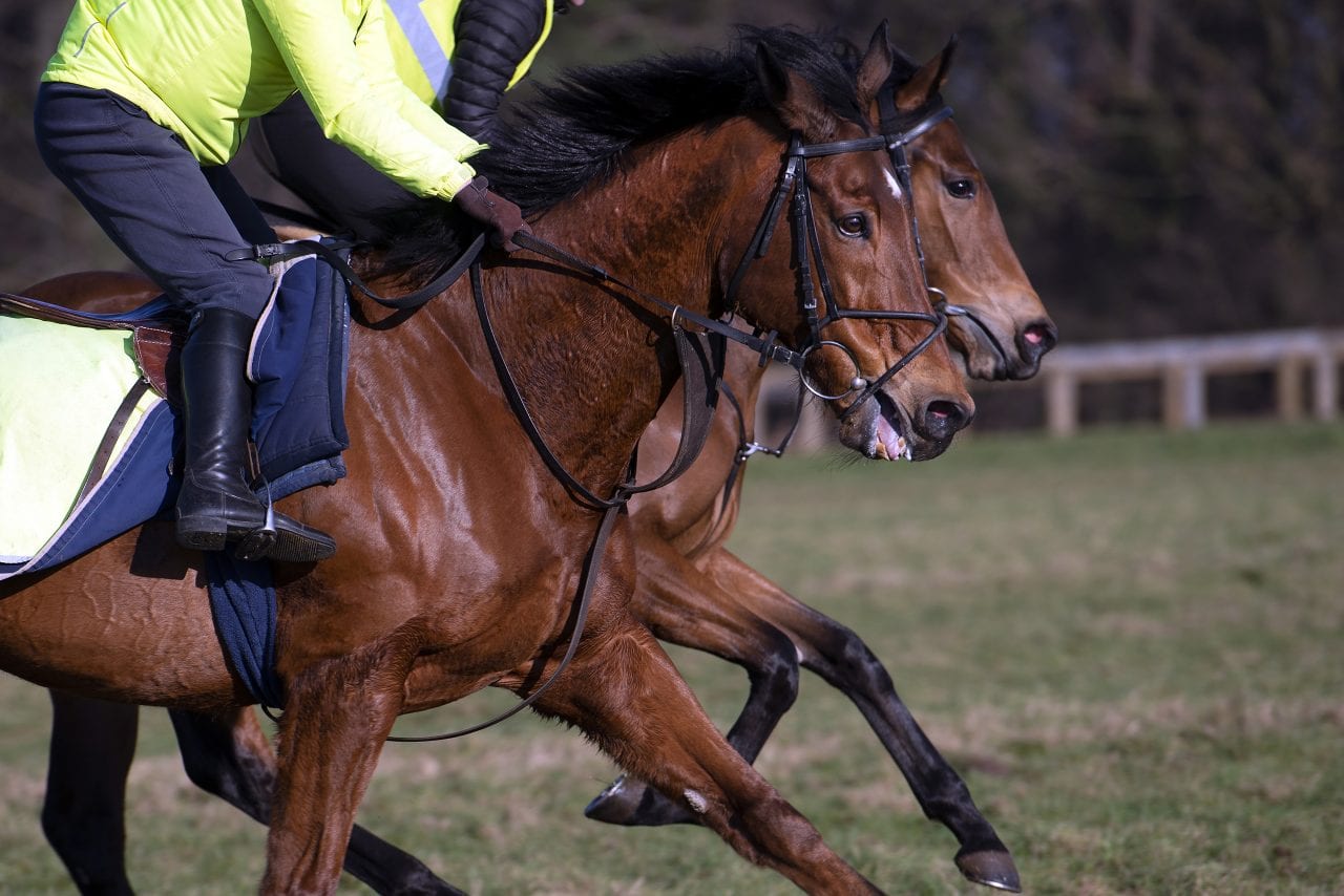 Gallery | Harry Eustace Racing