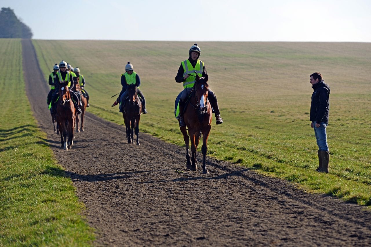 Gallery | Harry Eustace Racing