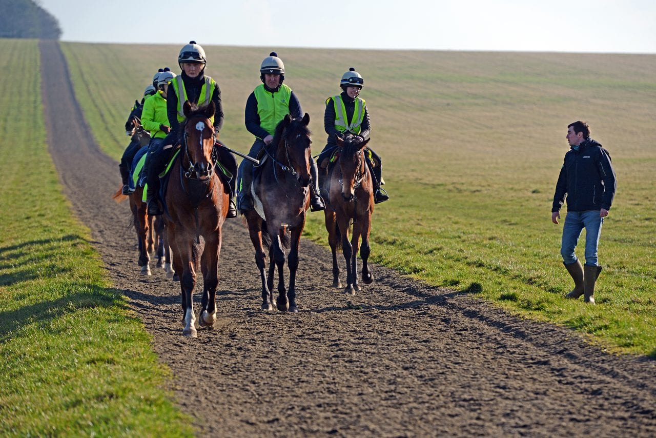 Gallery | Harry Eustace Racing