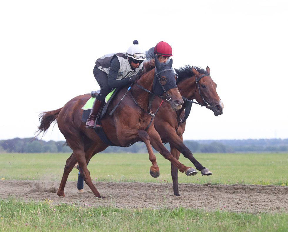 Gallery | Harry Eustace Racing
