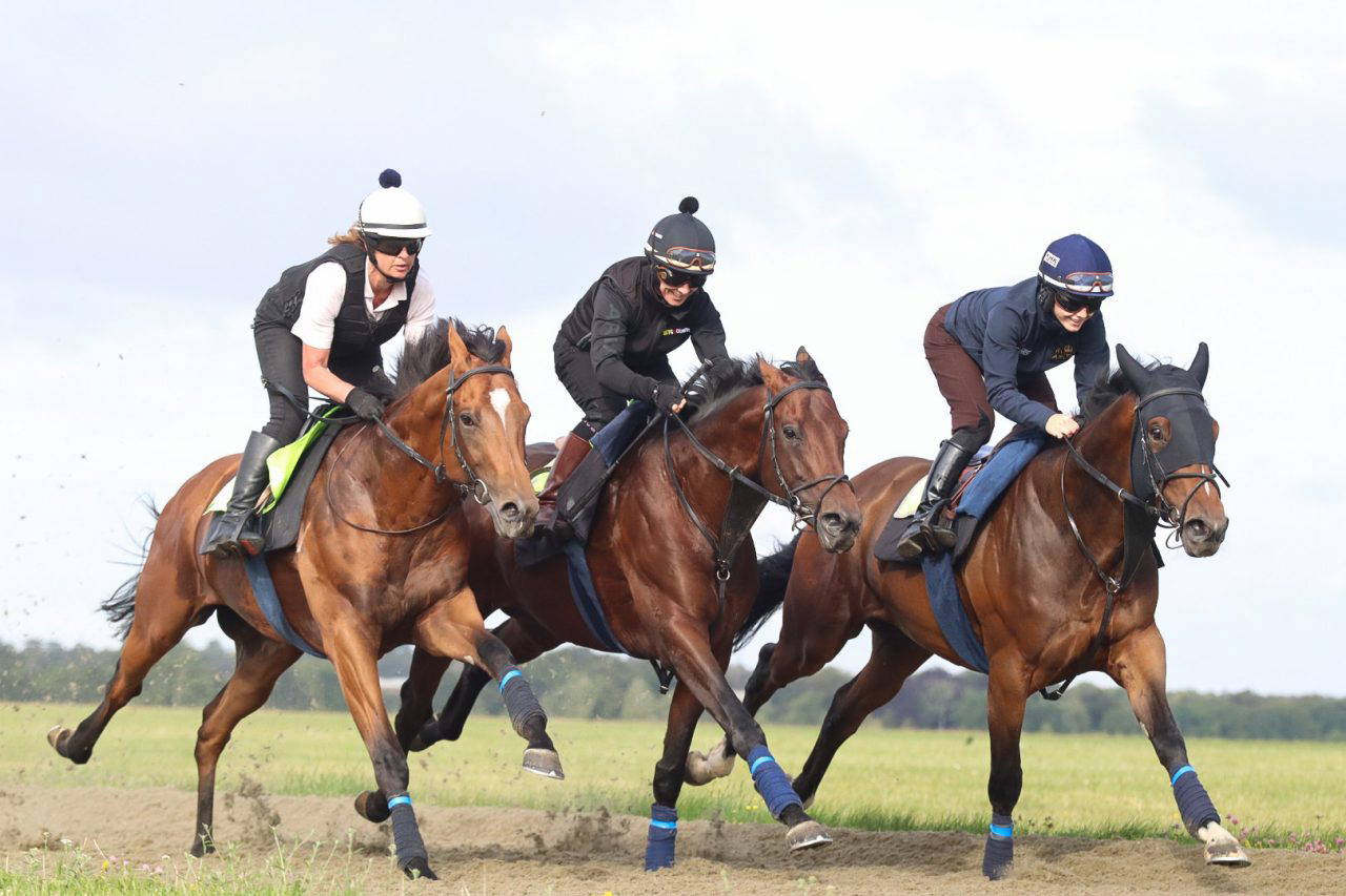 Gallery | Harry Eustace Racing