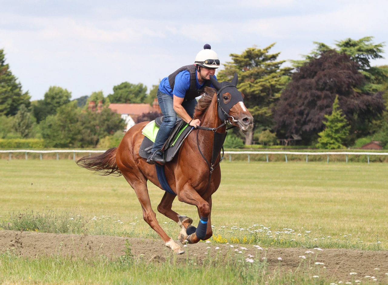 Gallery | Harry Eustace Racing