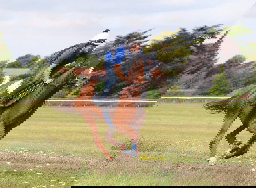 Gallery | Harry Eustace Racing