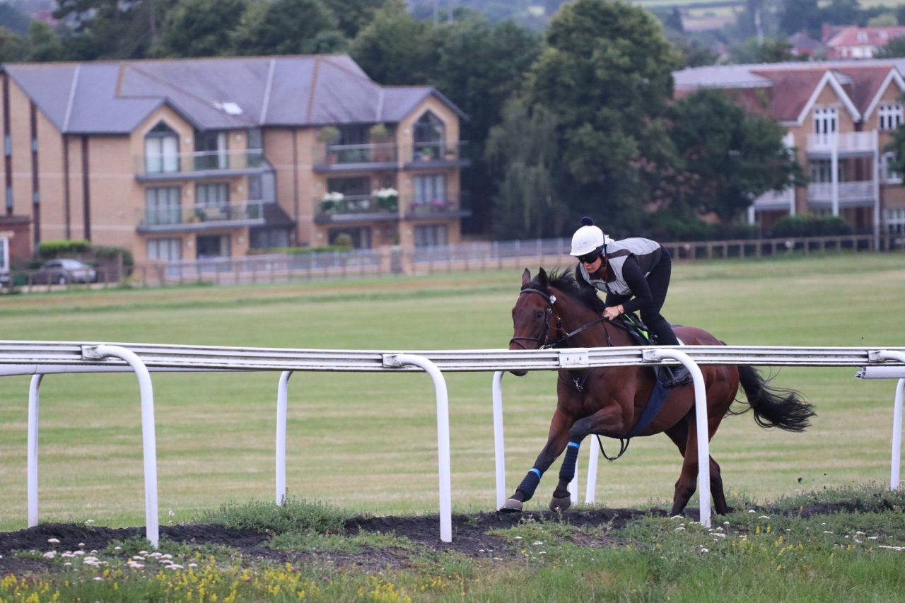 Gallery | Harry Eustace Racing