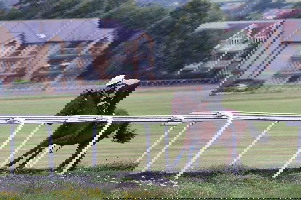 Gallery | Harry Eustace Racing