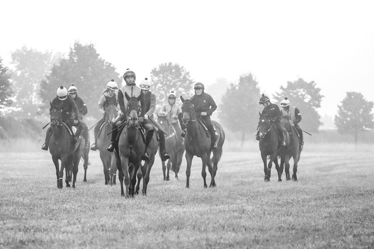 Gallery | Harry Eustace Racing